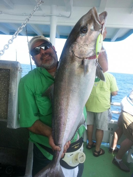 Shimano Butterfly Flat-Fall Jigs - TackleDirect