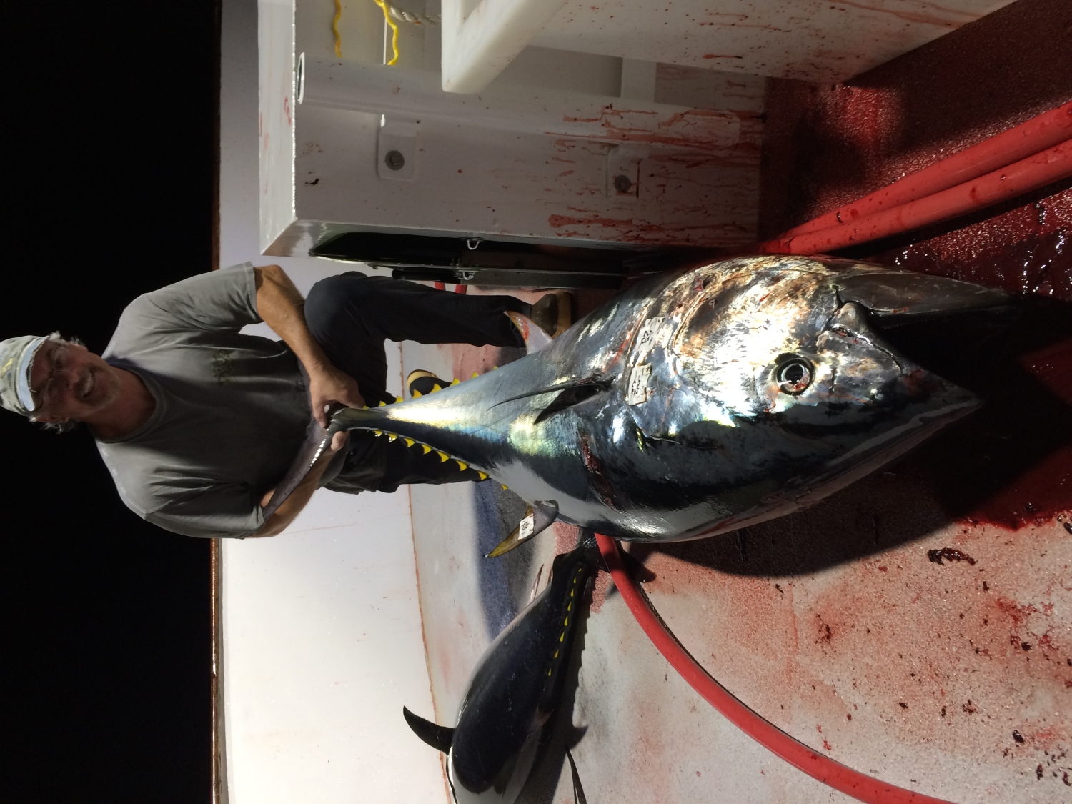 Shimano Butterfly Flat-Fall Jigs - TackleDirect