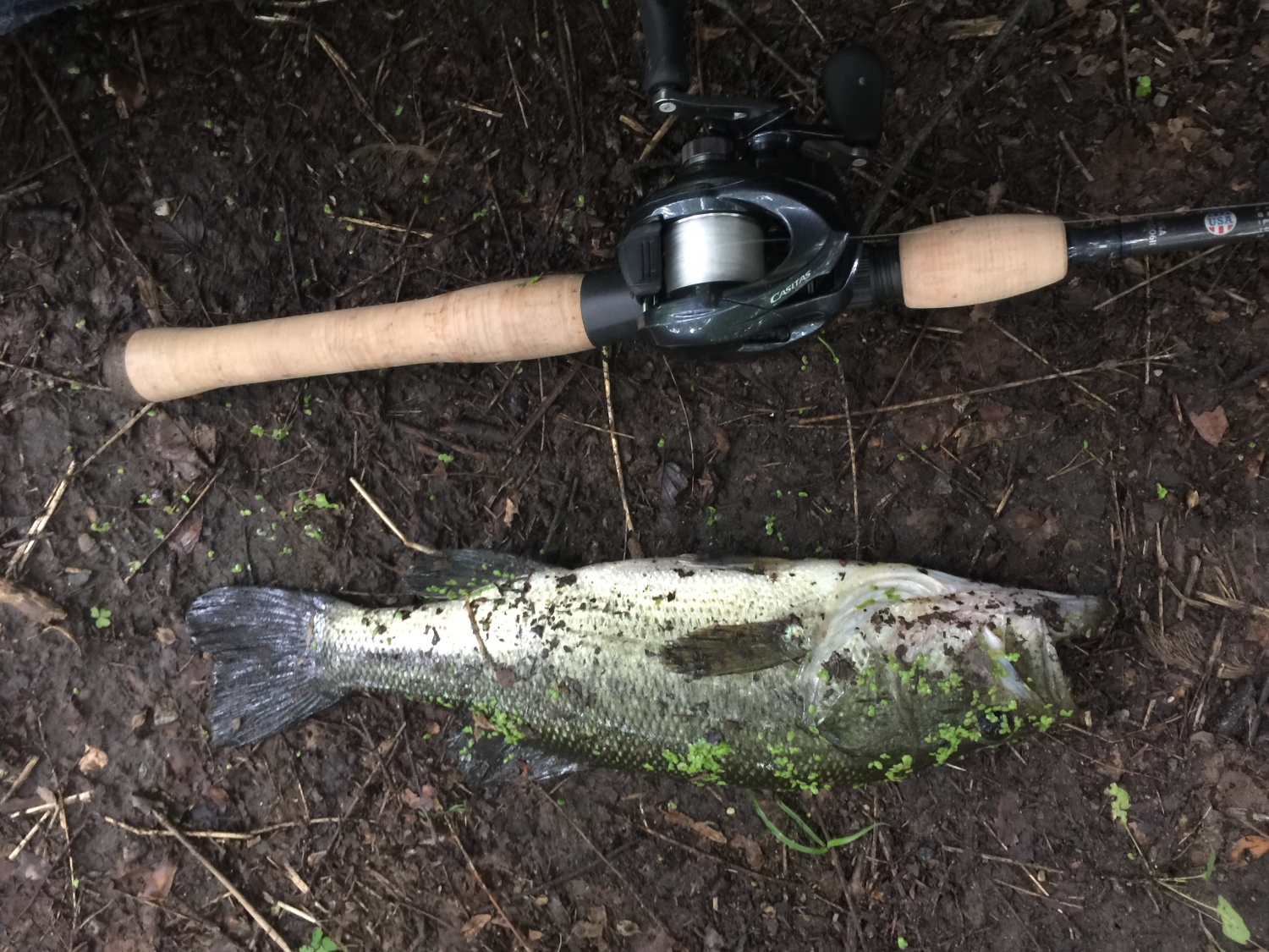 Z-Man Finesse TRD Ned Rig Worm - TackleDirect