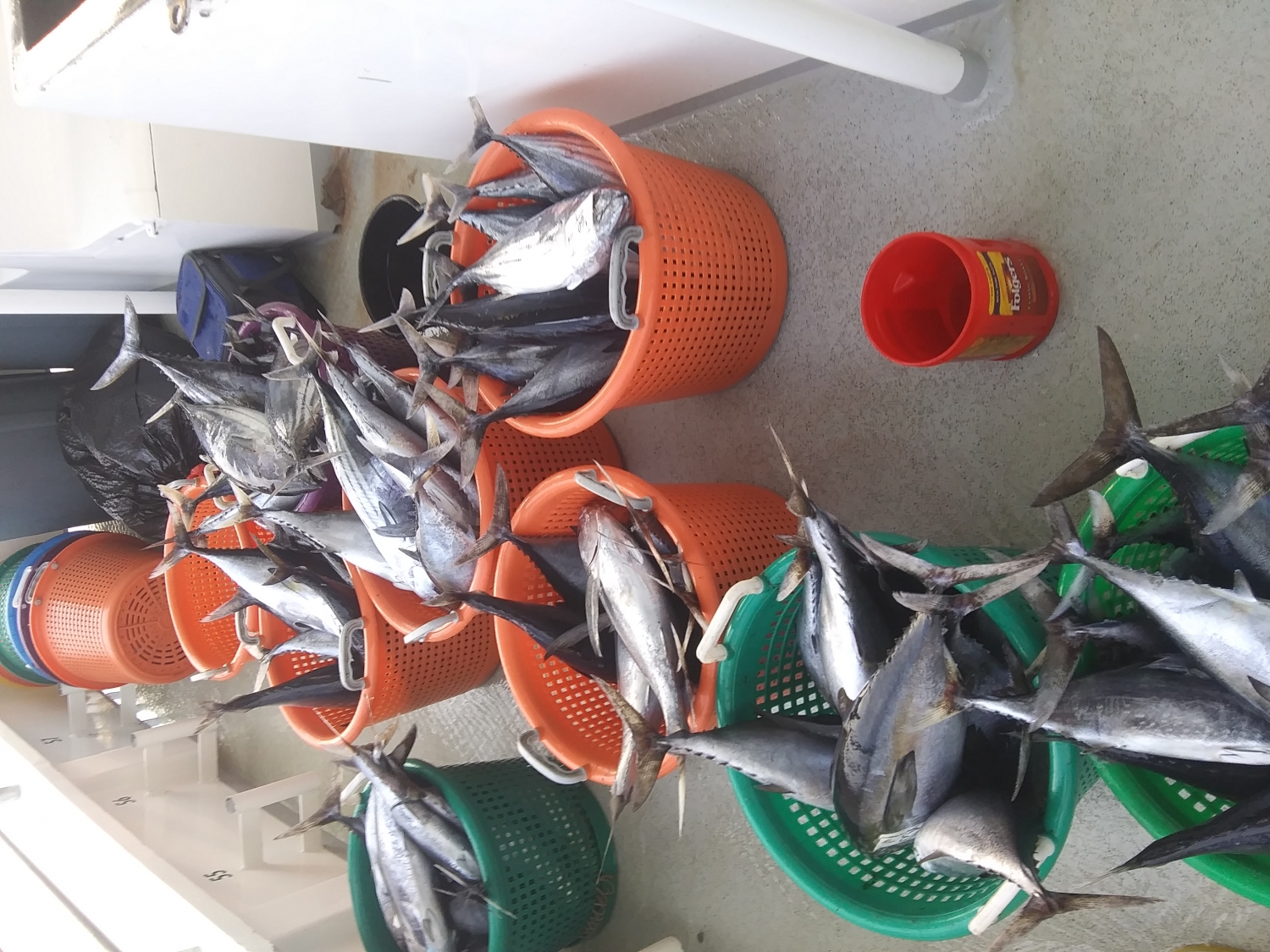 Shimano Butterfly Flat-Fall Jigs - TackleDirect