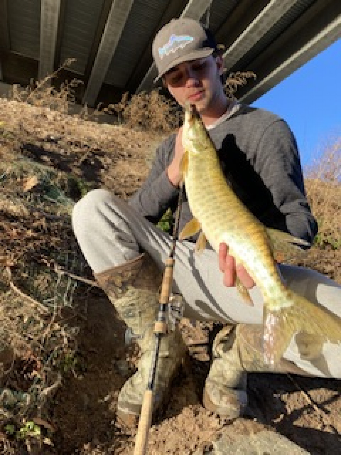 Jigging World Night Ranger Rods - TackleDirect