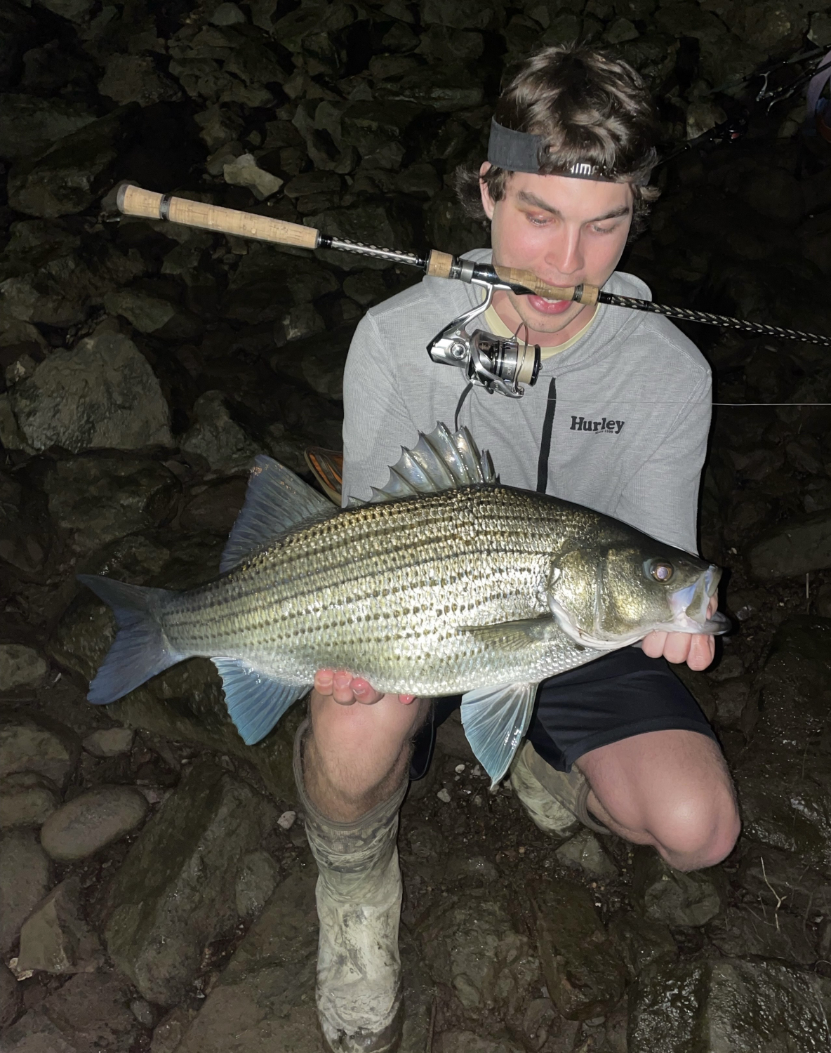 Jigging World Night Ranger Rods - TackleDirect