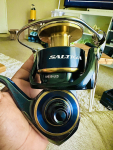Daiwa 2020 Saltiga Spinning Reels - TackleDirect